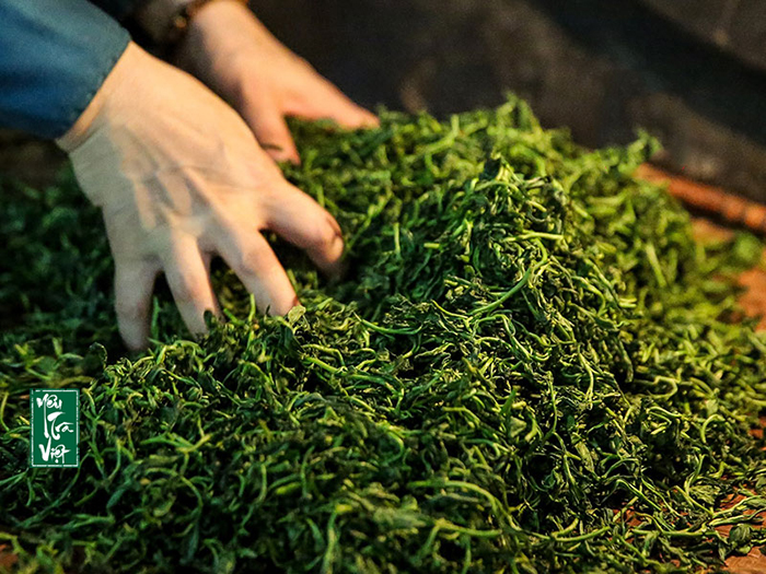 Tìm hiểu về quá trình diệt men trong việc sản xuất chè